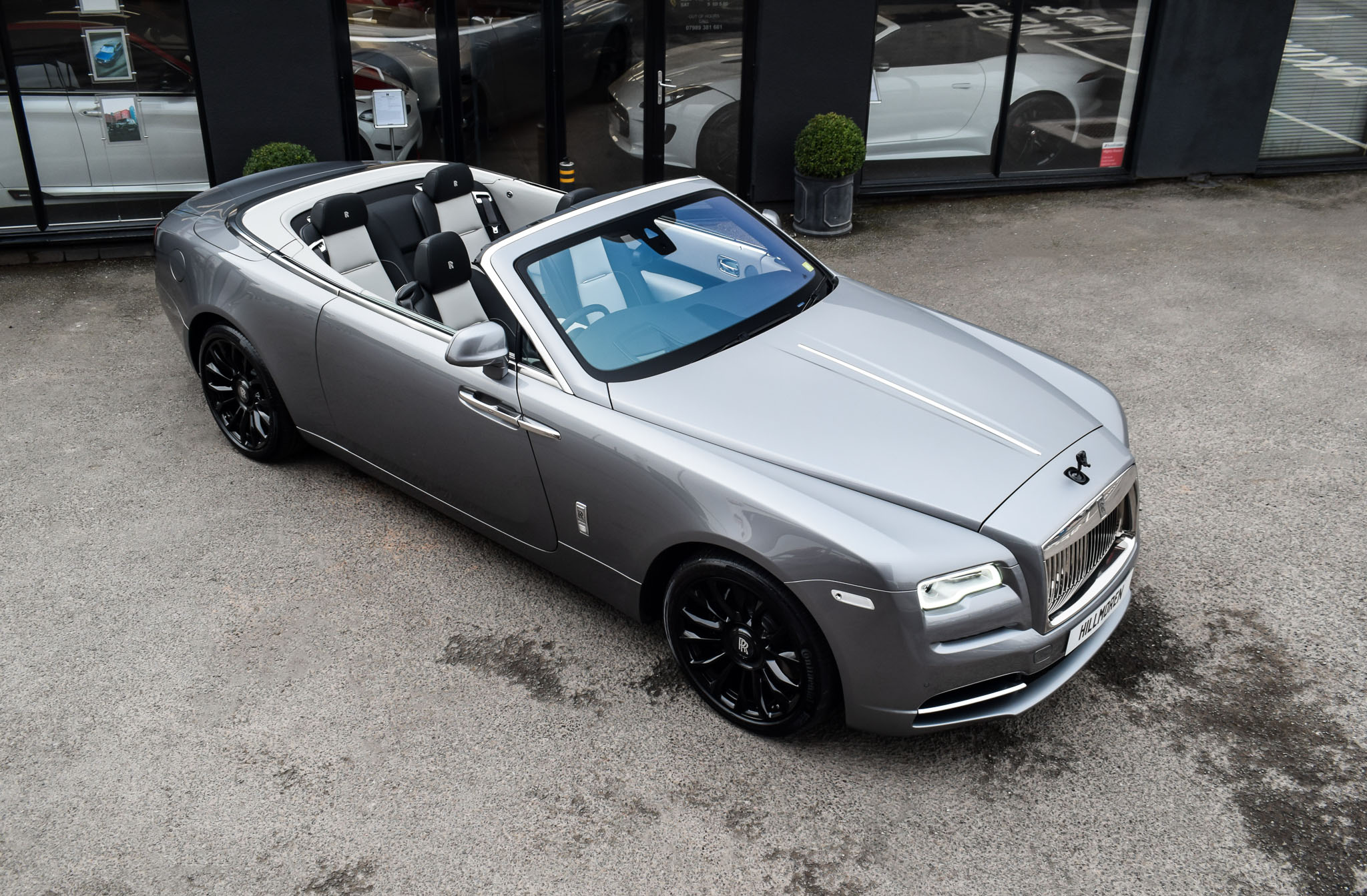 DAWN IGG - Hillmoren