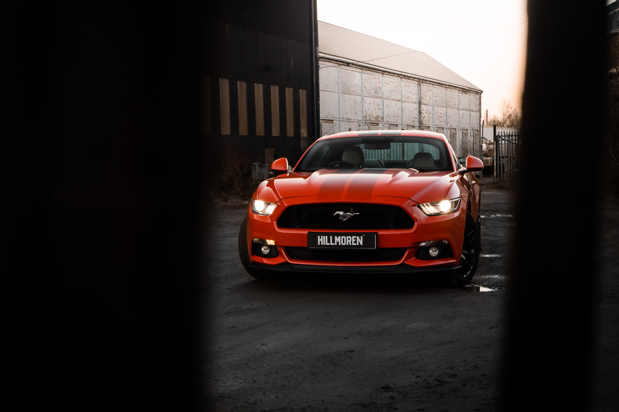 MUSTANG - Hillmoren